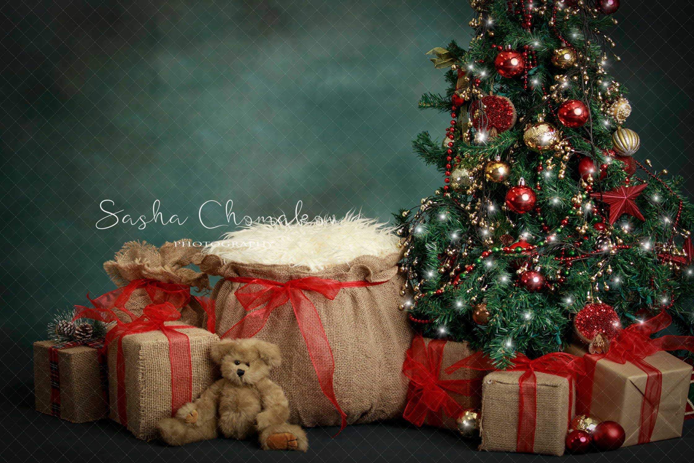 Christmas Backdrop Newborn Baby Sitter Toddler Boy or Girl Digital ...