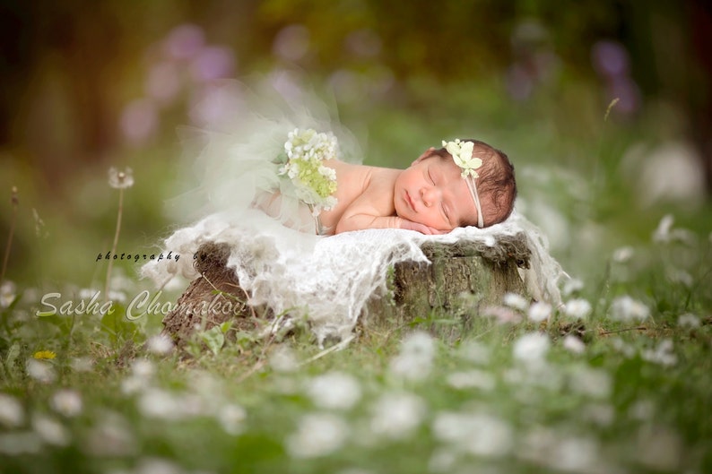 Digital Backdrop, Background Newborn Baby Boy or Girl Outdor Forest ...