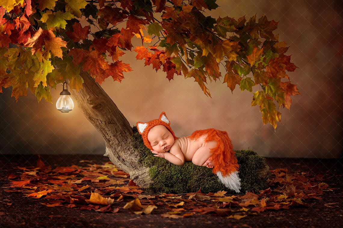 Digital Backdrop, Background Newborn Baby Girl or Boy Teddy , Fox Bunny ...