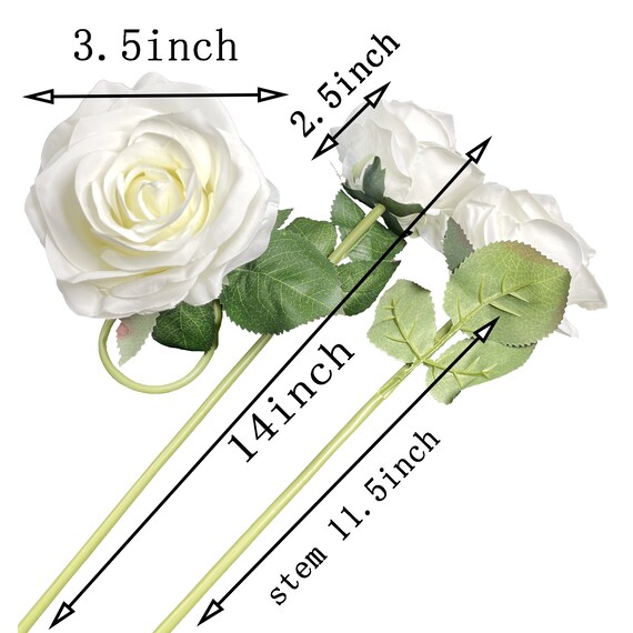 Single Beautiful Flower With Stem