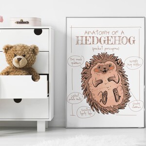 Funny Cartoon Hedgehog Anatomy Poster Whimsical Educational Art for ...