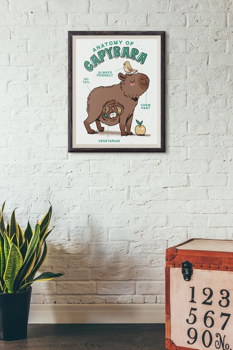 Funny Cartoon Capybara Anatomy Poster - Whimsical Educational Art for ...