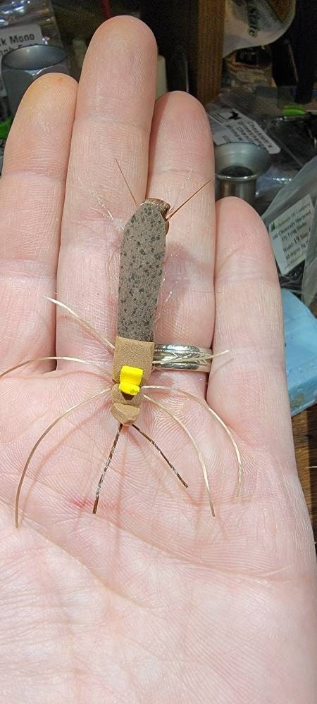 Stonefly, Trout Flies, Flies, Fly Fishing Flies, Bugs, Salmonfly, Foam ...