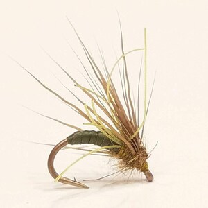 Buggy Caddis Fly, Fly Fishing, Fishing, Emerger, Insects, Flies ...
