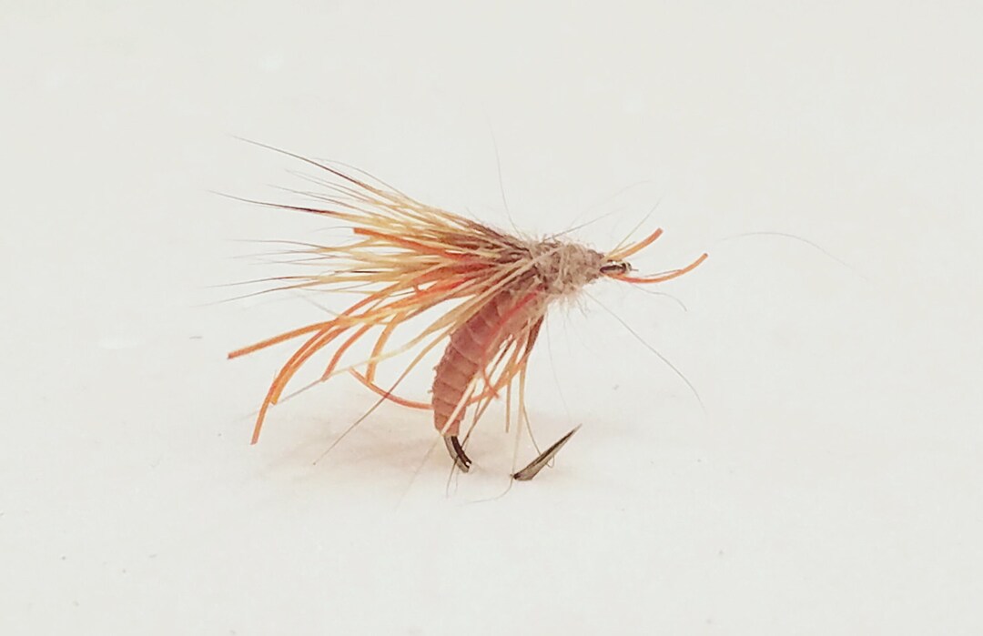 Buggy Caddis Fly, Fly Fishing, Fishing, Emerger, Insects, Flies ...
