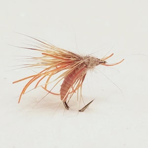 Buggy Caddis Fly, Fly Fishing, Fishing, Emerger, Insects, Flies ...