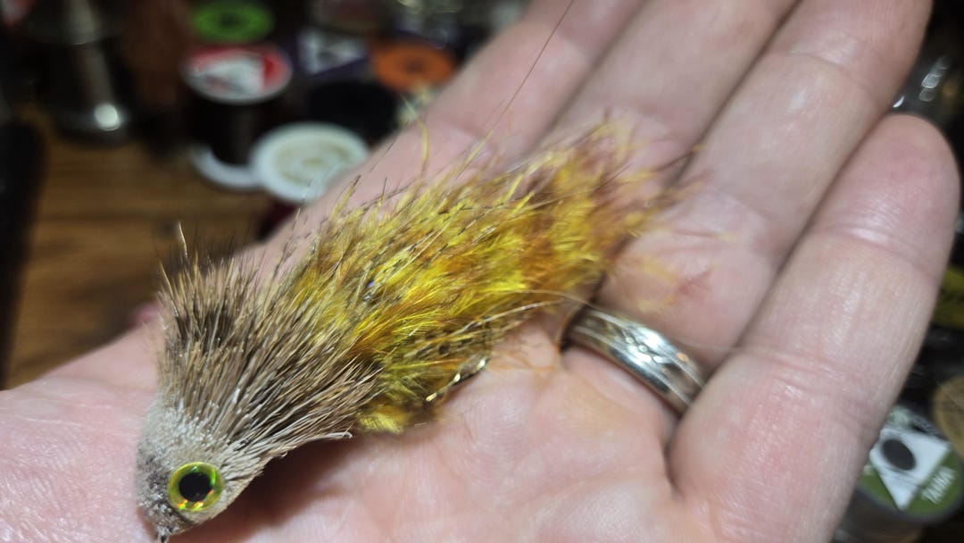 Trout Streamer, Deer Hair Streamer, Streamer, Trout Flies, Flies, Trout ...