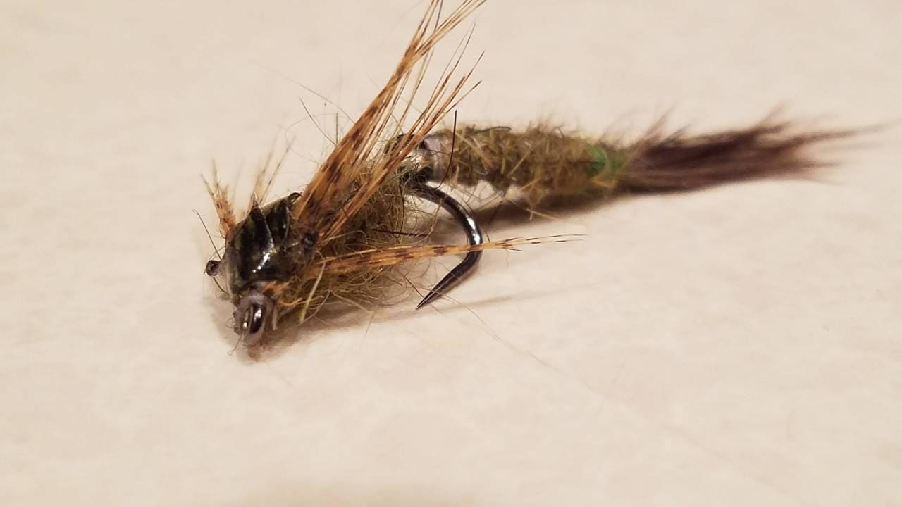 Damselfly, Nymph, Trout Flies, Flies, Carp Flies, Fly Fishing Flies ...
