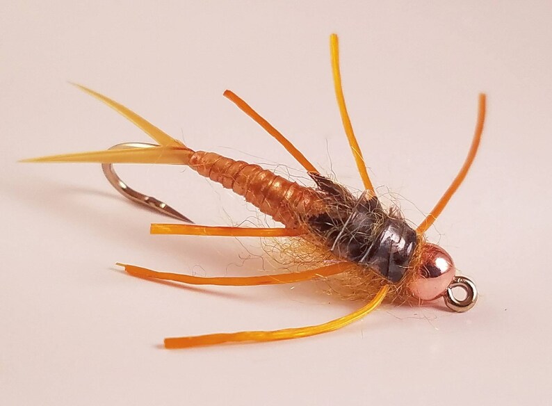 Stonefly Nymph, Trout Flies, Carp Flies, Flies, Fly Fishing Flies ...