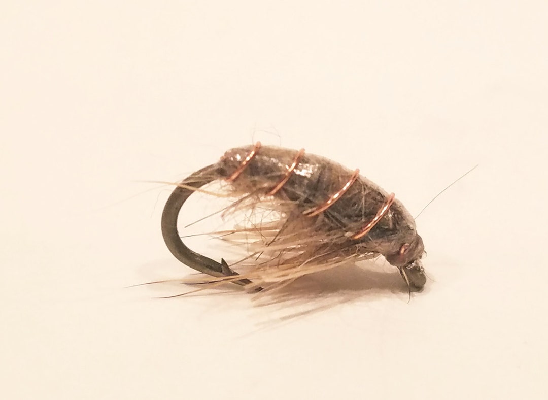 Scud Nymph, Fly, Fly Fishing Fly, Trout, Scud Pattern, - Etsy