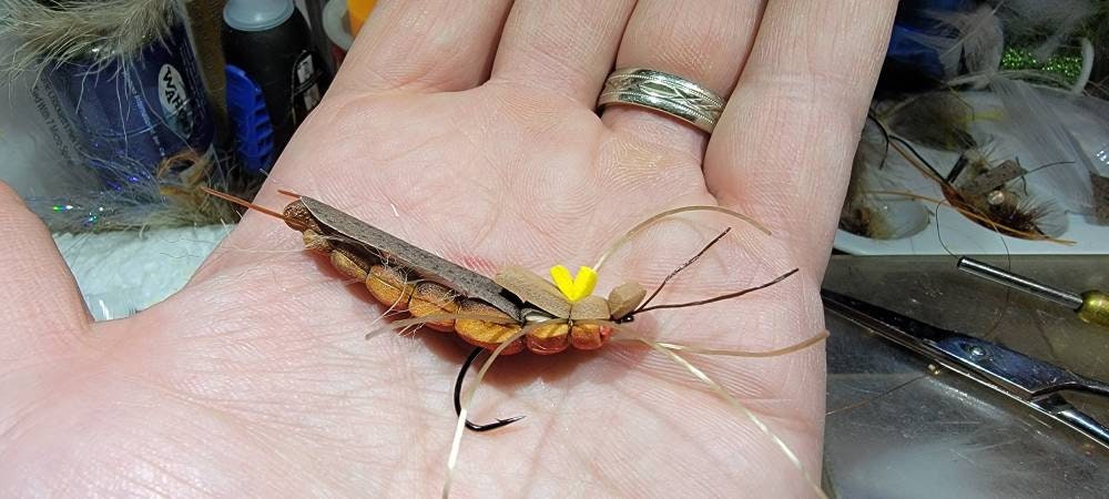 Stonefly, Trout Flies, Flies, Fly Fishing Flies, Bugs, Salmonfly, Foam ...