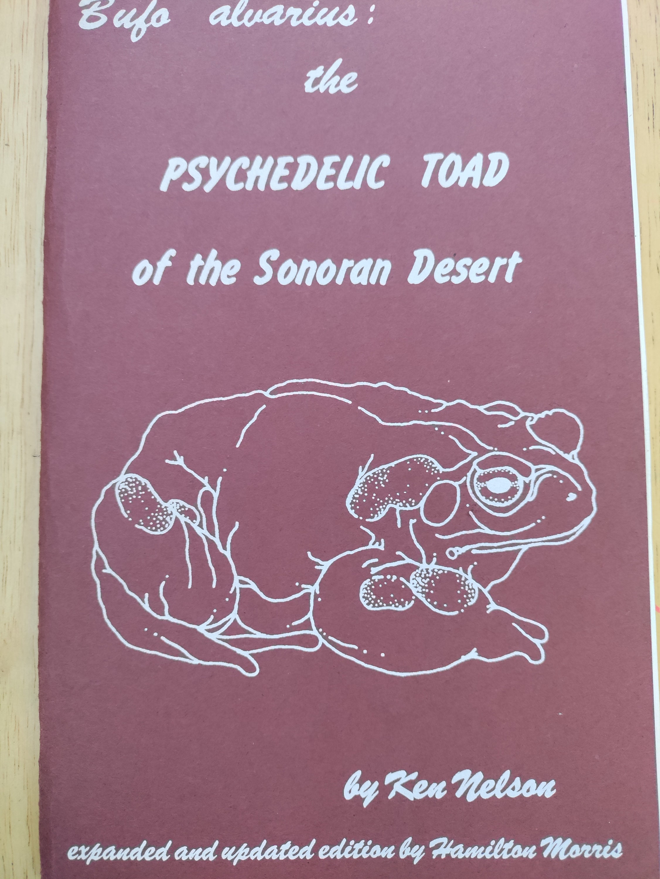 Bufo Alvarius the Psychedelic Toad of the Sonoran Desert - Etsy