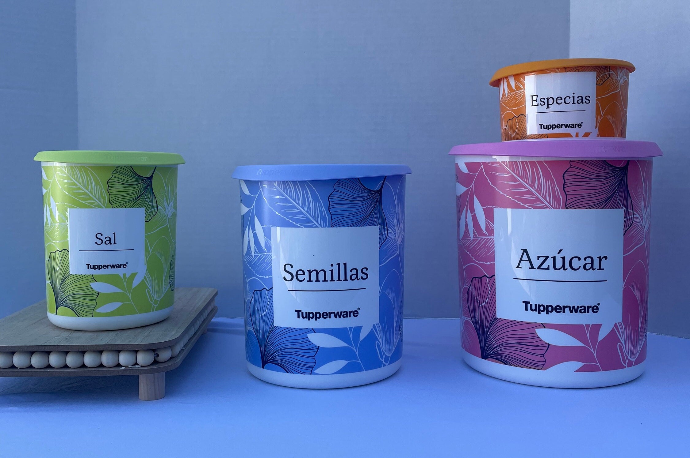 Tupperware Spring Food Storage Container Set in Spanish -sal / Salt ...