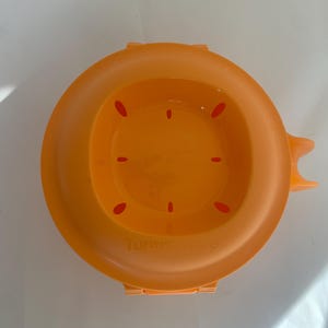 Tupperware Rice Container Microwave Safe -NEW - Etsy