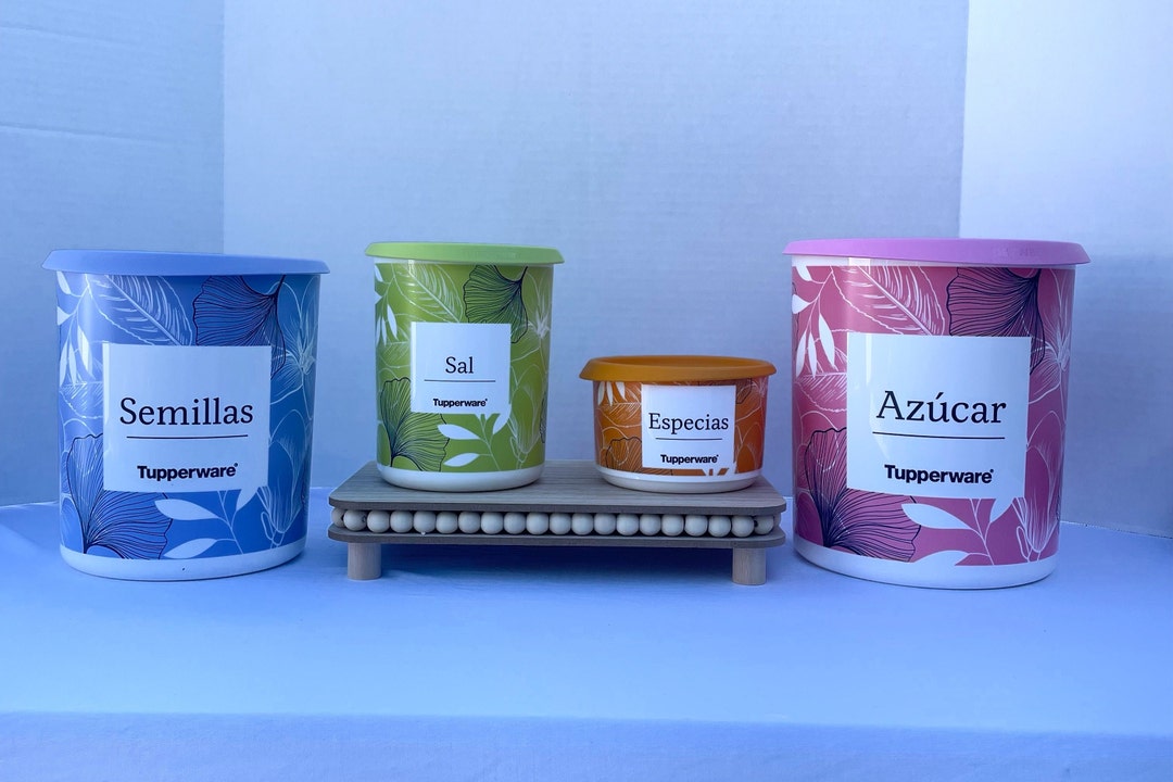 Tupperware Spring Food Storage Container Set in Spanish -sal / Salt ...