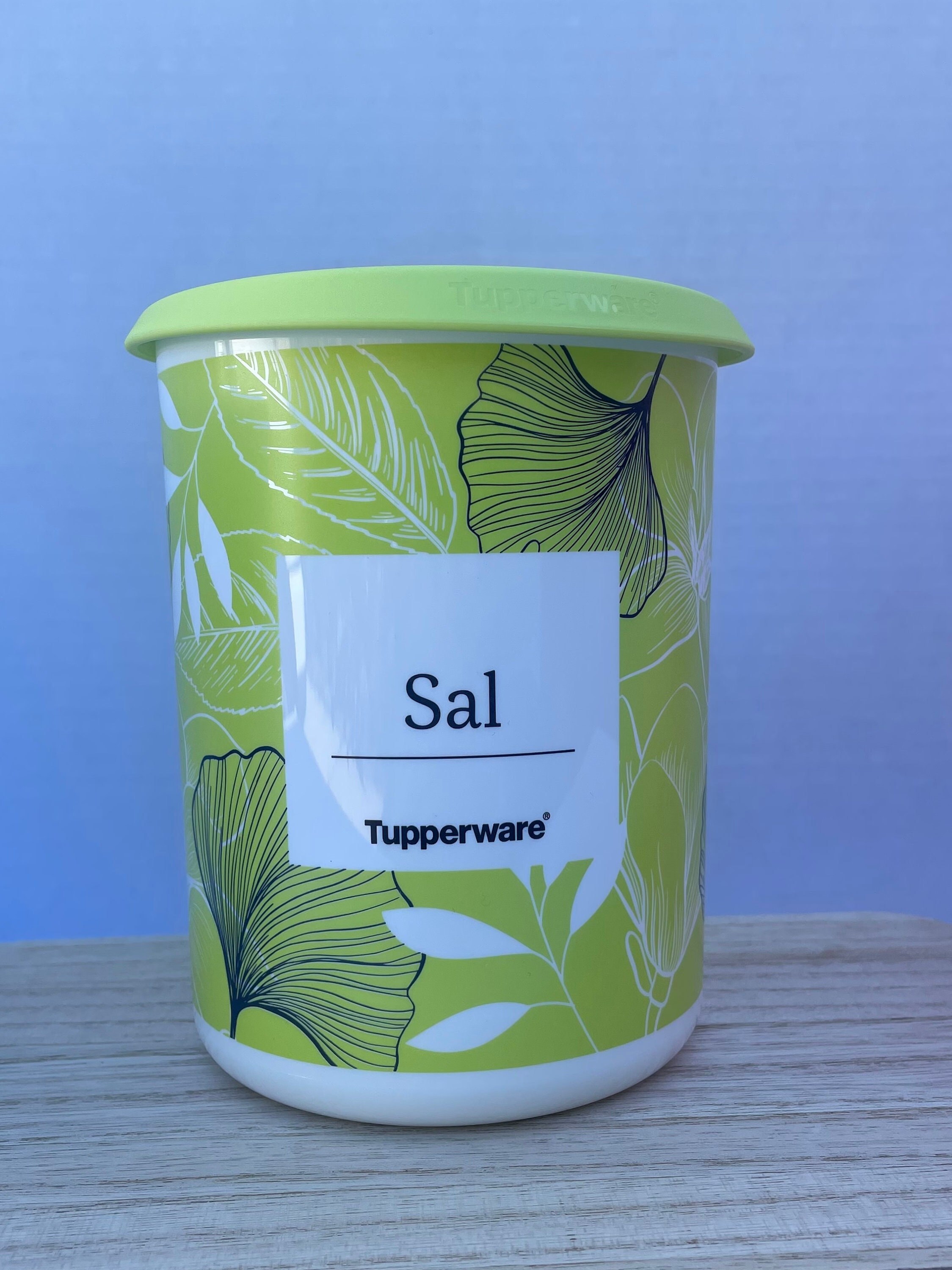 Tupperware Spring Food Storage Container Set in Spanish -sal / Salt ...