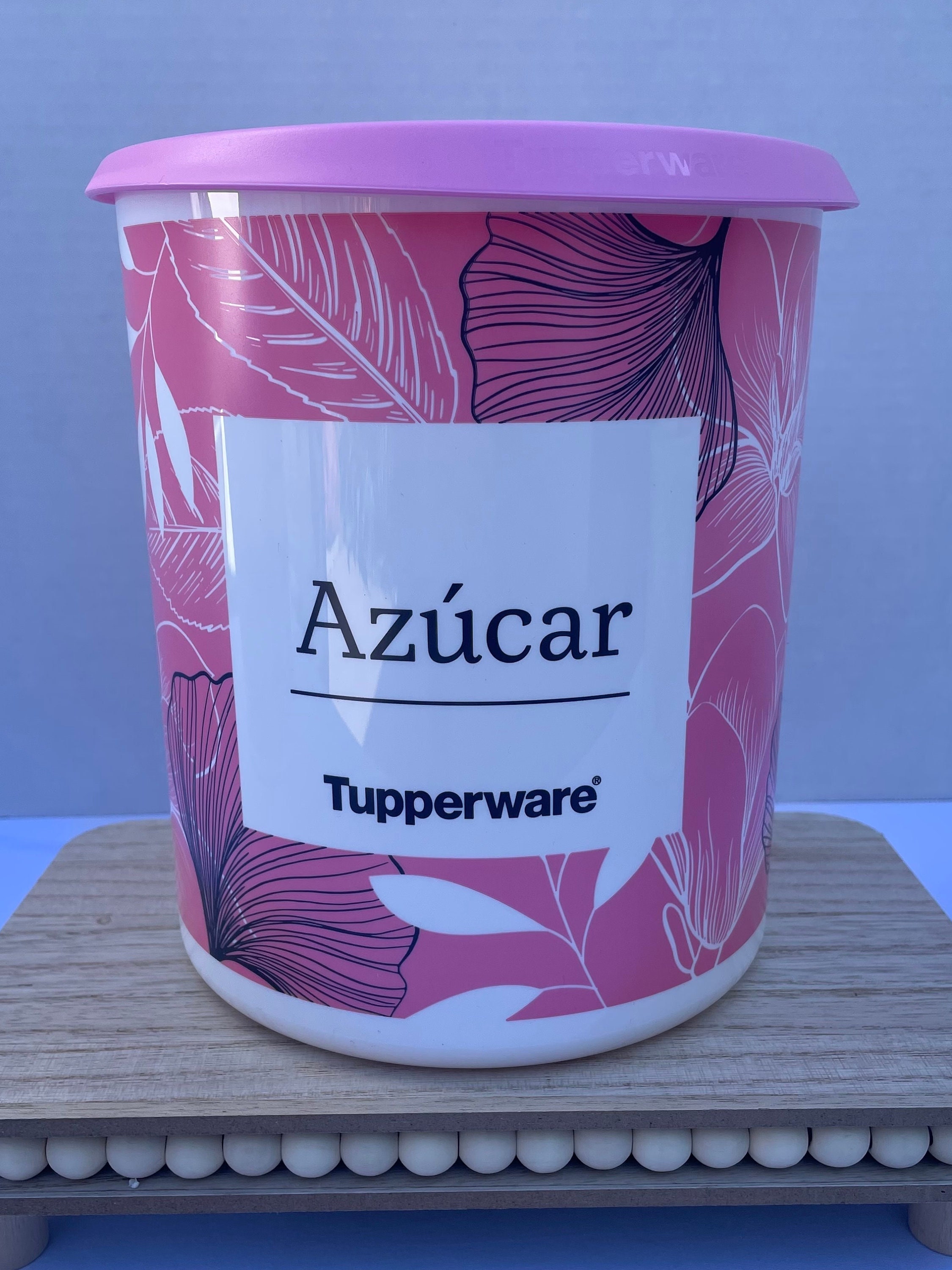 Tupperware Spring Food Storage Container Set in Spanish -sal / Salt ...