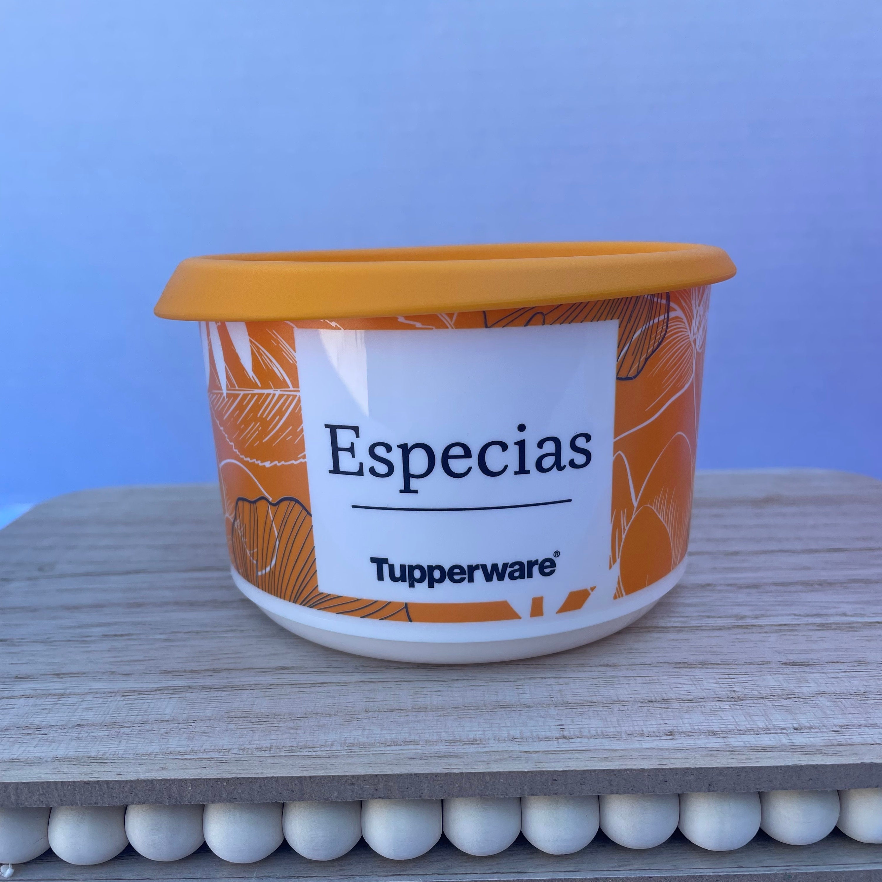 Tupperware Spring Food Storage Container Set in Spanish -sal / Salt ...