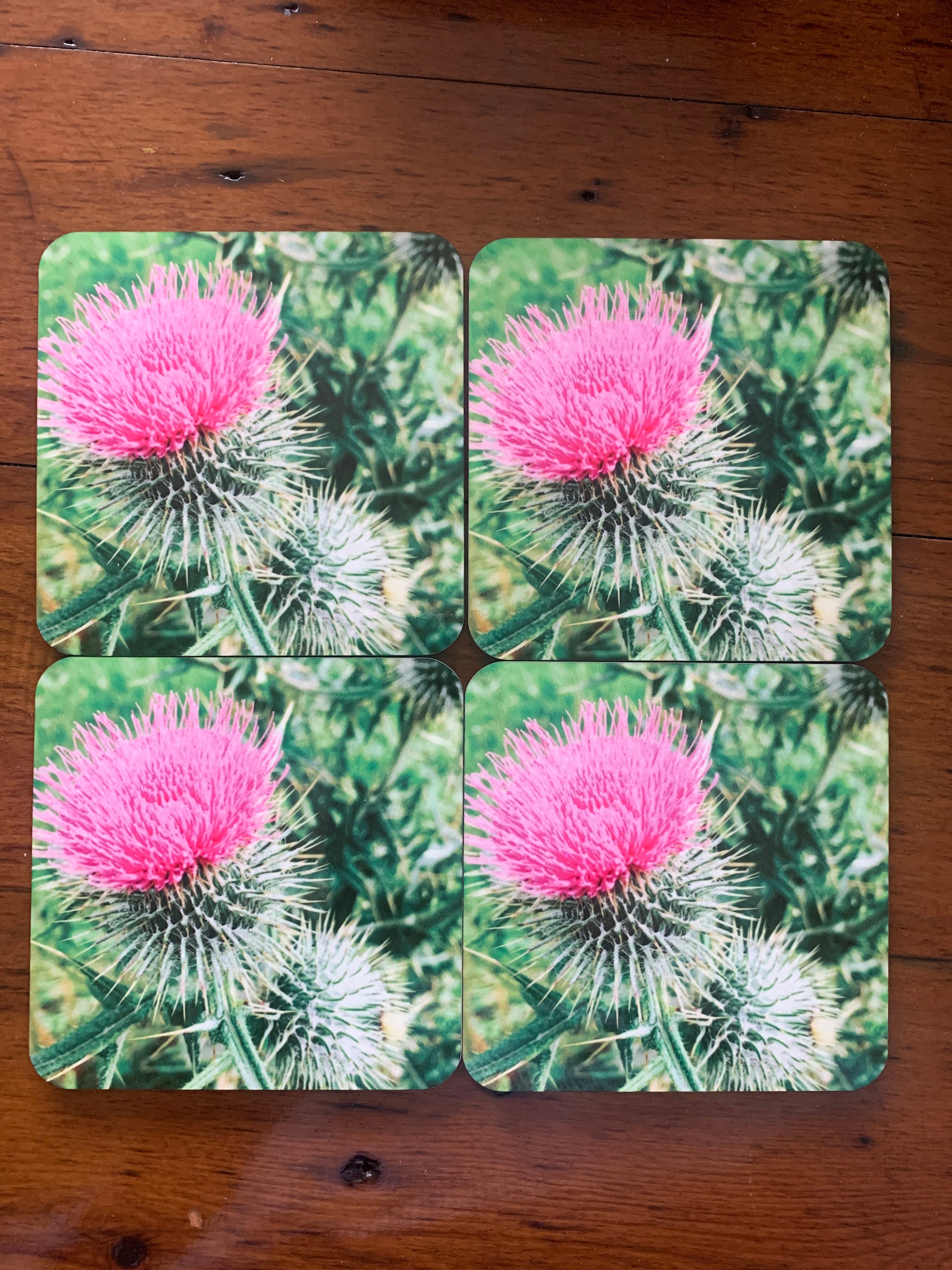 Thistle Coaster. the Perfect Gift. Stylish Design. Gorgeous Colours ...