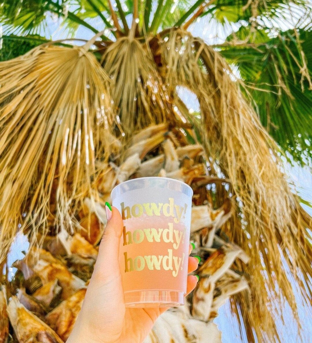 Howdy Frost Flex Cups, Rodeo Cups, Shatterproof Texas Cups, Howdy Cups ...