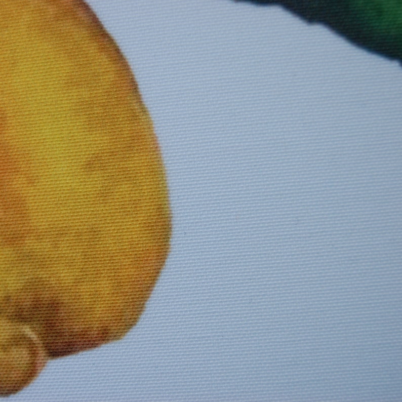 Patterned Lampshade, Designer Lampshade, Lemon Lampshade, Ceiling ...