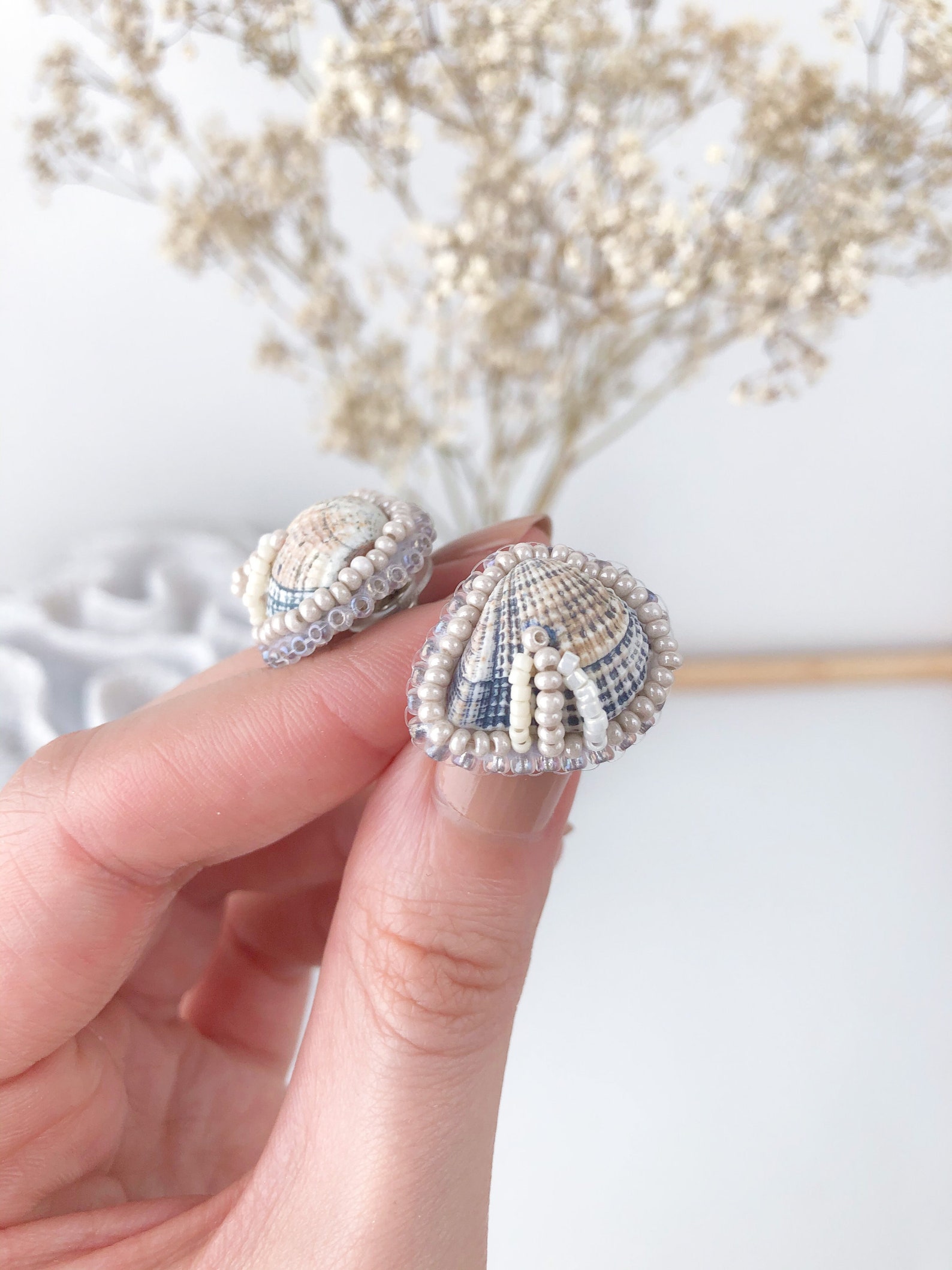 Small Natural Seashell Earrings - Etsy