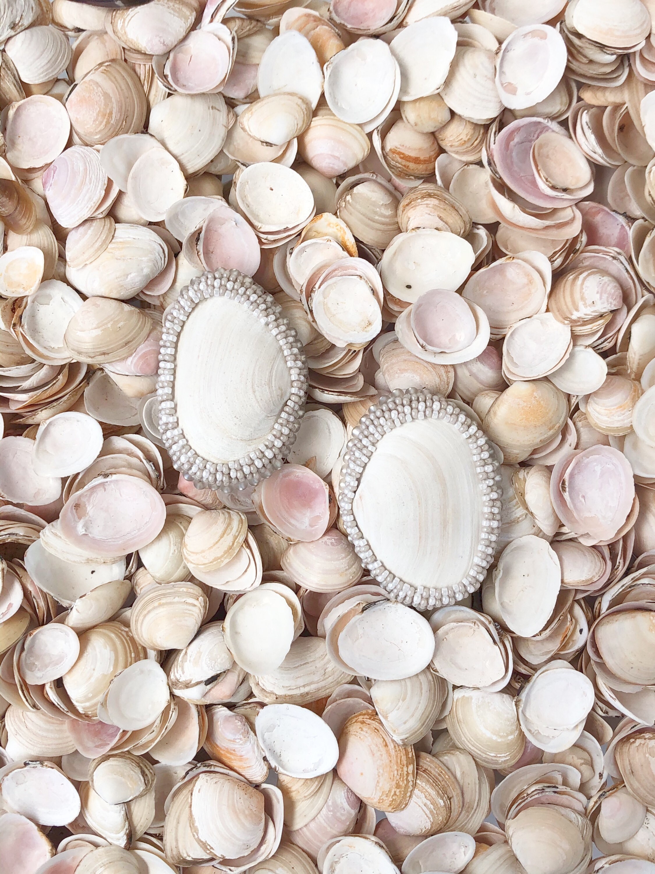 White Shell Stud Earrings, Boho Style Beaded Earrings, Statement ...