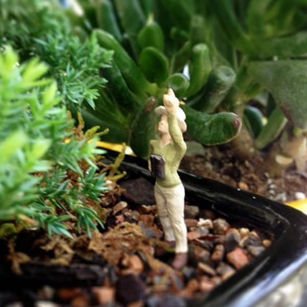 Terrarium Figurines - Etsy