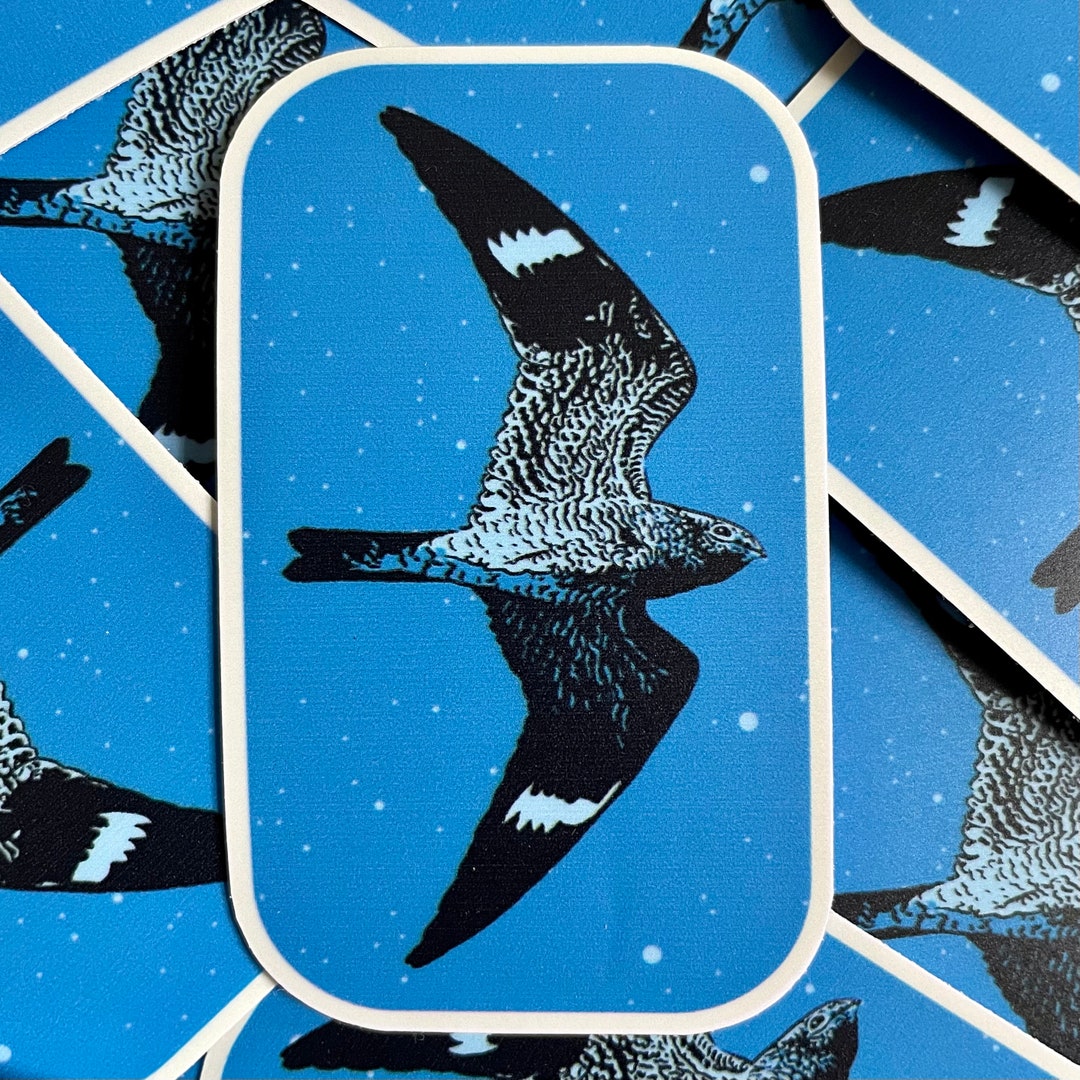 Common Nighthawk Sticker - Etsy