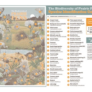 Prairie Fen Biodiversity Poster - Etsy
