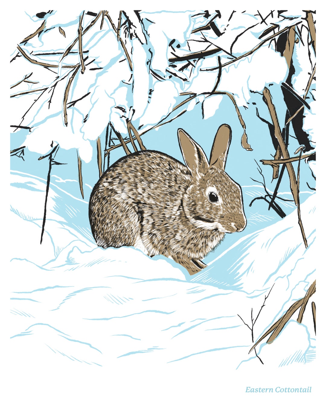Eastern Cottontail - 8x10" Print - Etsy