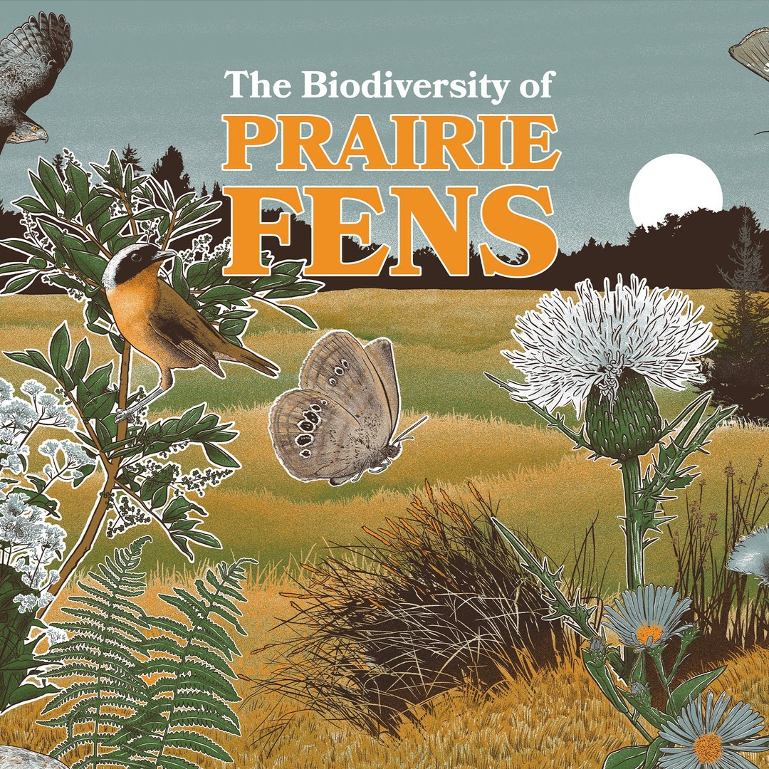 Prairie Fen Biodiversity Poster - Etsy