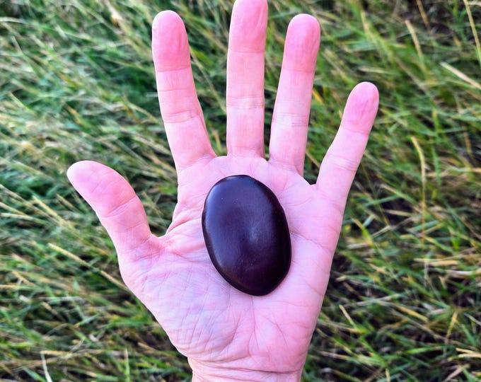 Vintage African Ebony Tree Large Black Seed Pod Nut Huge Drilled Seed ...