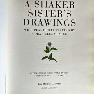 A Shaker Sisters Drawings: Wild Plants Illustrated by Cora Helena Sarle ...