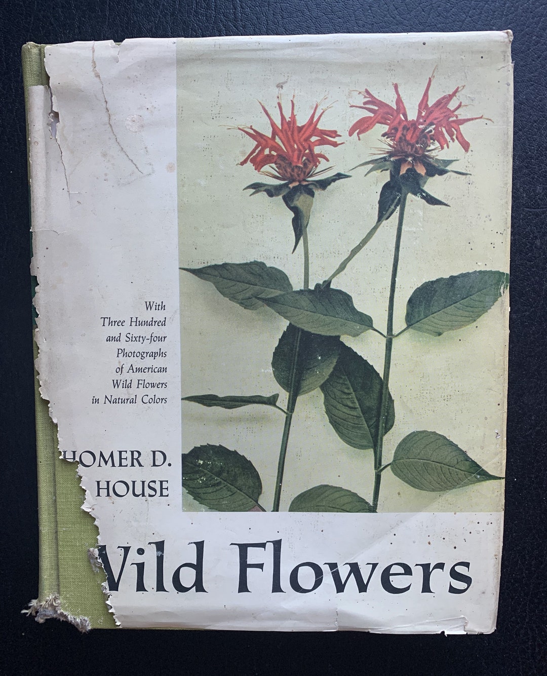 WILD FLOWERS Homer D. House the Macmillan Company C. 1961 - Etsy