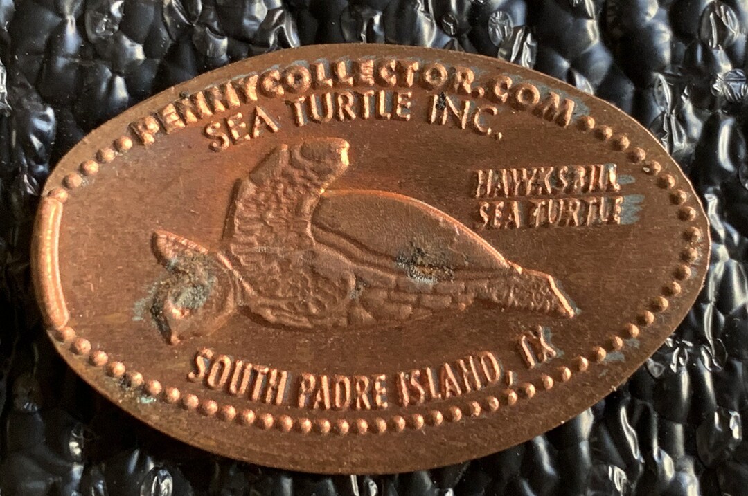 Sea Turtle Inc Hawksbill Sea Turtle Elongated Penny South Padre Island ...