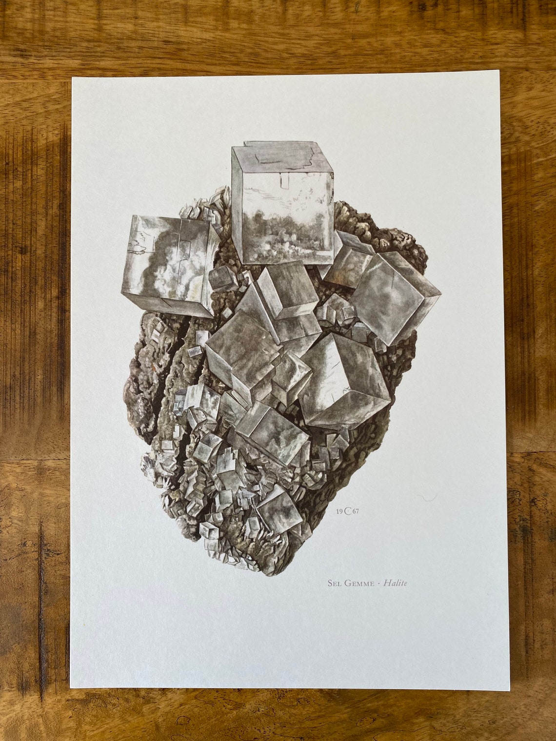 Vintage Rock Salt Print, 1960s Geology Mineral Art - Etsy