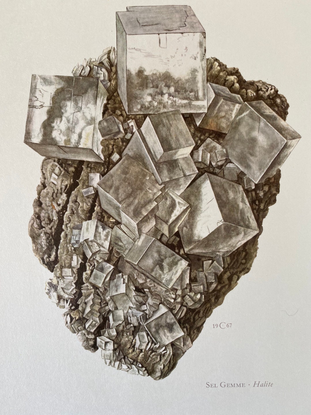 Vintage Rock Salt Print, 1960s Geology Mineral Art - Etsy