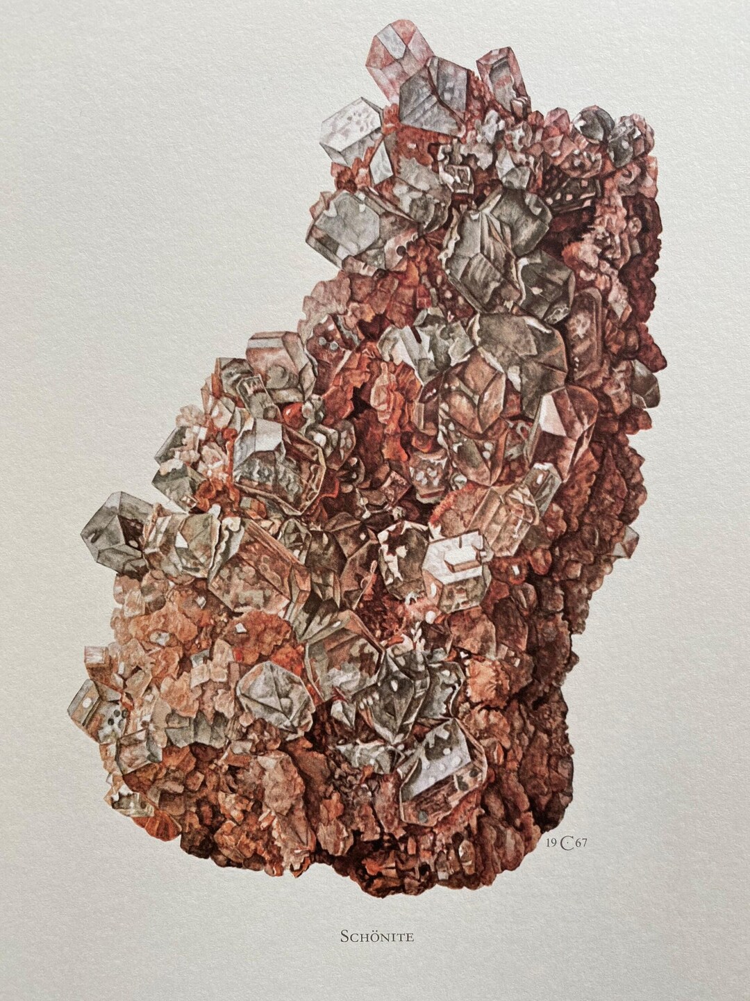 Picromerite Schonite Mineral Print. Antique and Vintage Geology ...
