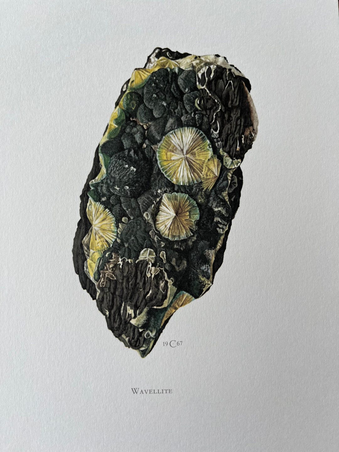 Wavellite Mineral Print. Antique and Vintage Geology Gemstone ...