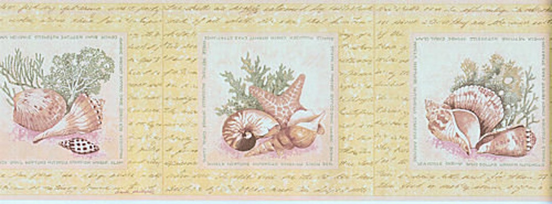 Seashells and Corals in Frames Wallpaper Border With Scribbles FDB07134 ...