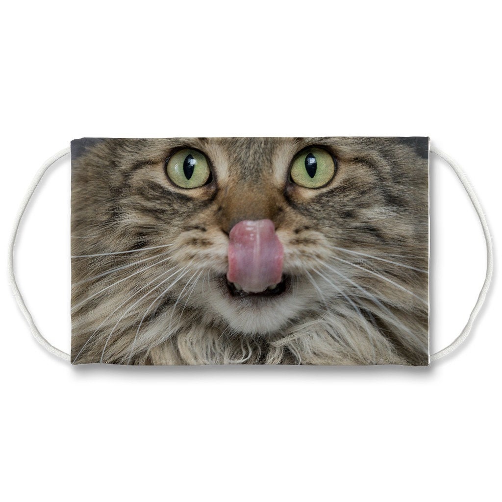 Funny Cat Face Mask Cat Mask for Kids and Adults Cute Cat - Etsy Denmark