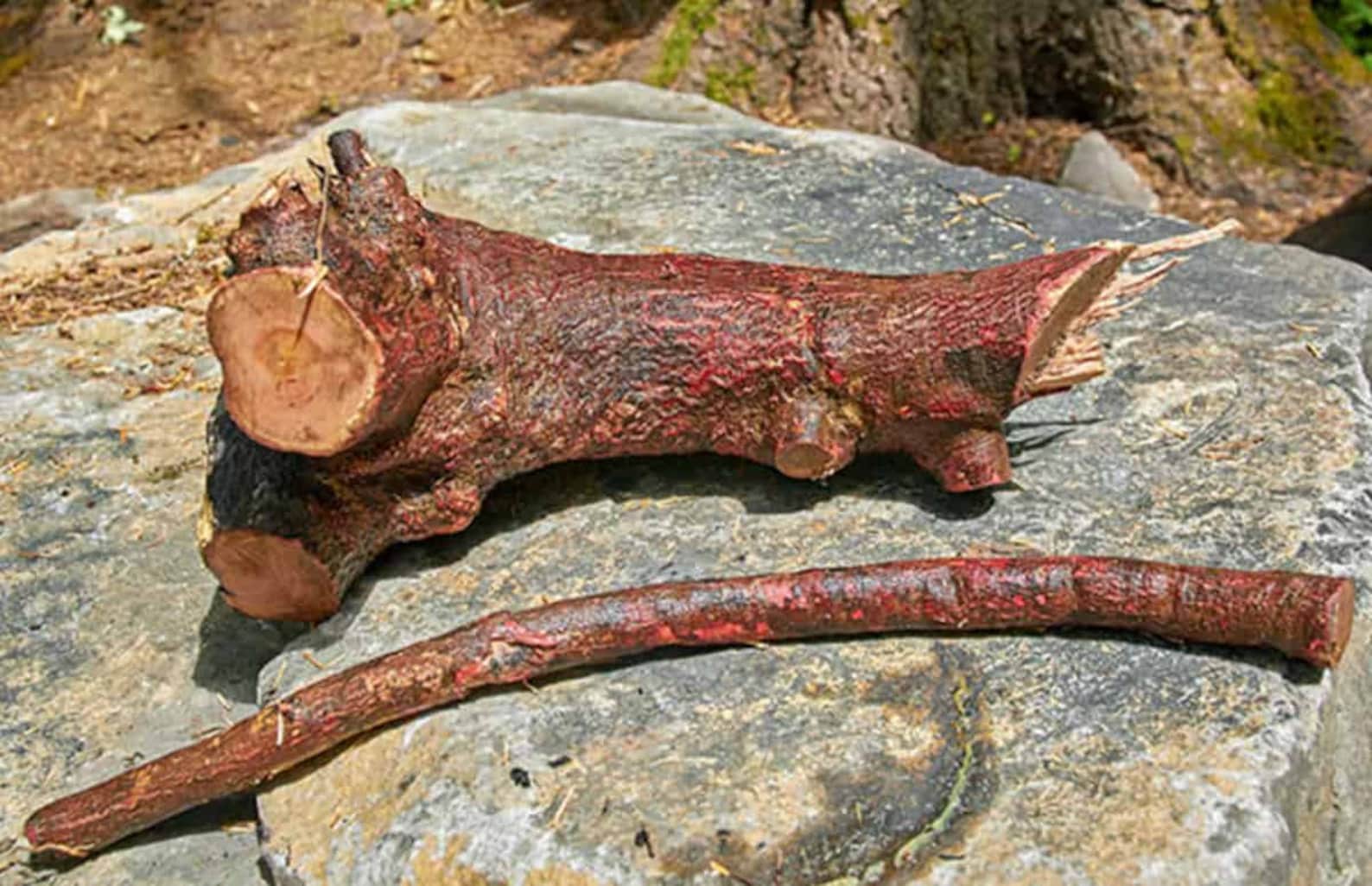 Red Root Tincture | Etsy