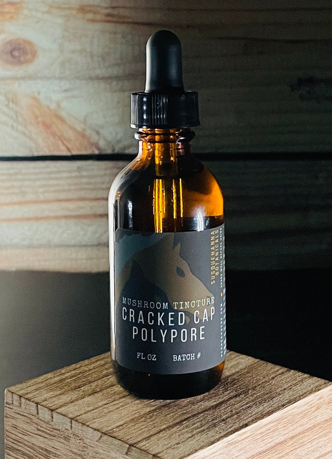 Cracked Cap Polypore Tincture - Etsy