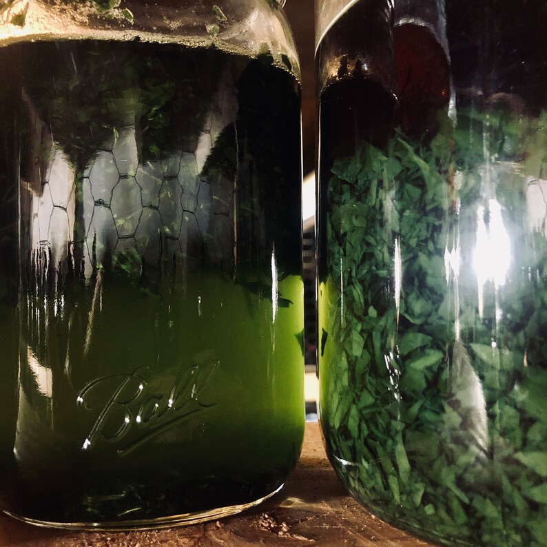 Andrographis Tincture | Etsy