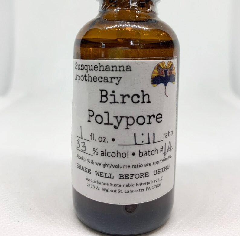 Birch Polypore Tincture Etsy