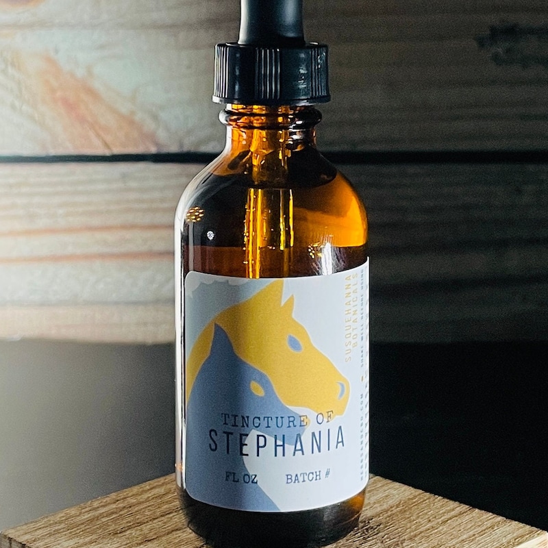 Stephania Erecta - Etsy