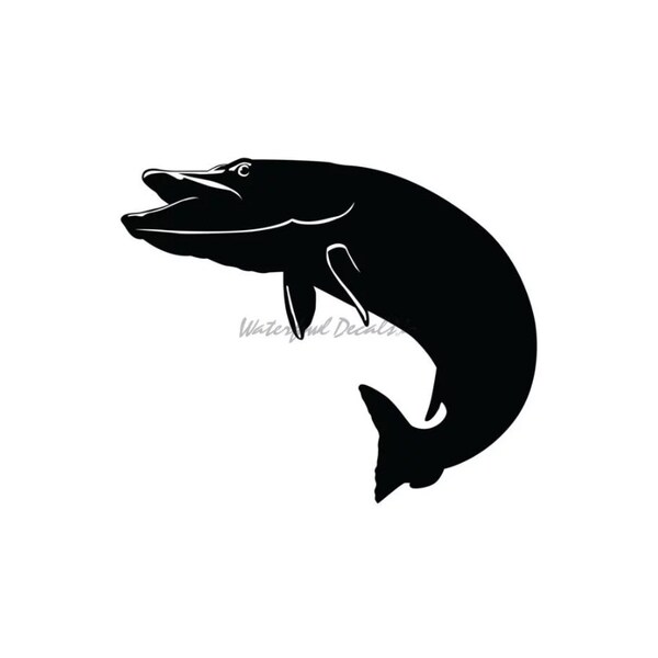 Muskie - Etsy
