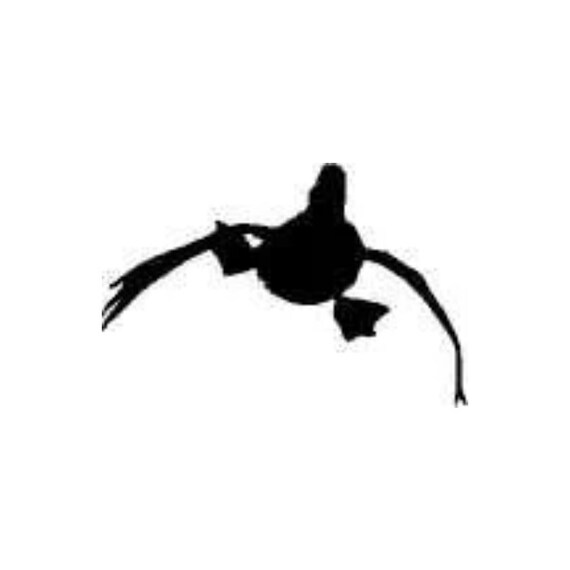 Duck Flying Decals