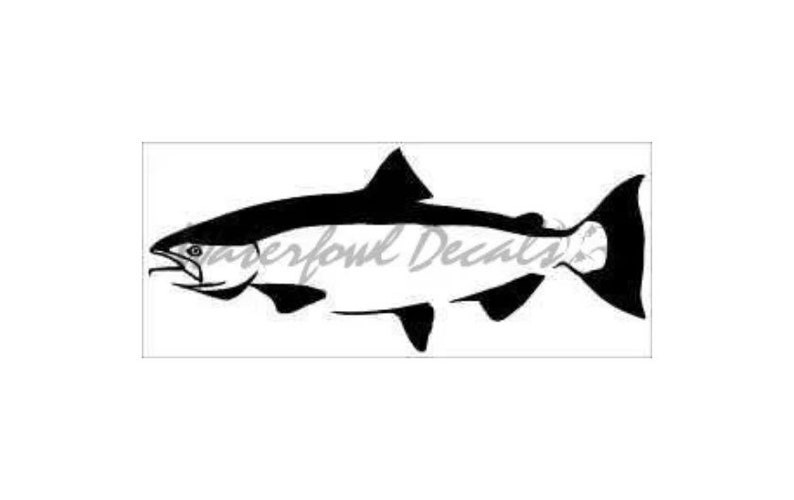 Salmon Fish Vinyl Graphic Decal Salmon Fishing Sticker - Etsy